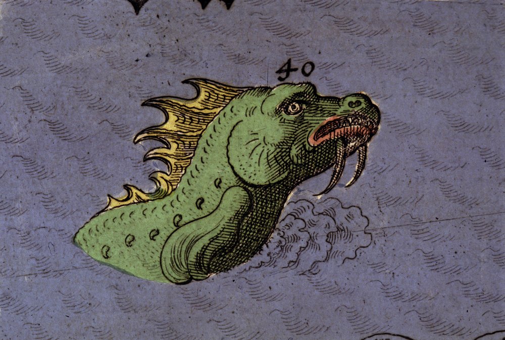 Dessin De La Carte Du Serpent De Mer Serpent De Mer | Wiki Orba Fabula