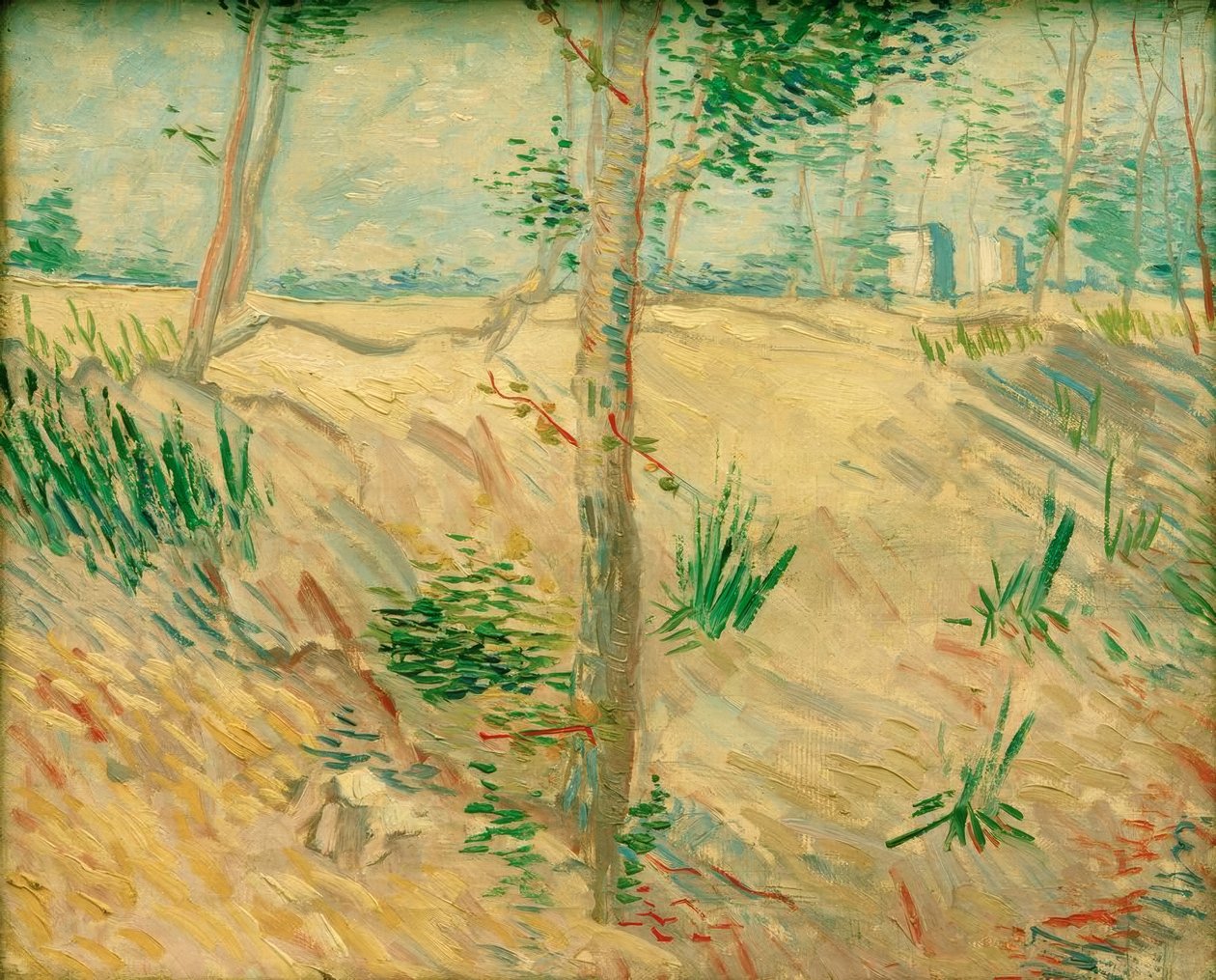 Dessins D'arbres De Van Gogh Affiche Racines D'arbres Vincent Van